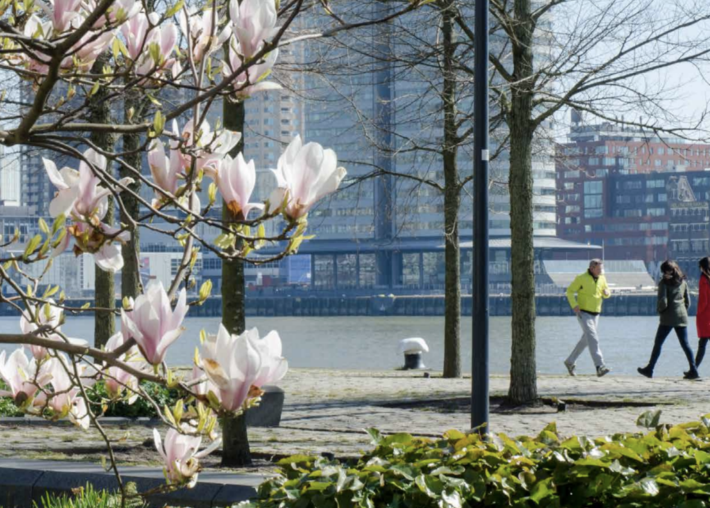 Rotterdam 21,5 hectare groen rijker - Dr. Sunshine I Platform voor ...